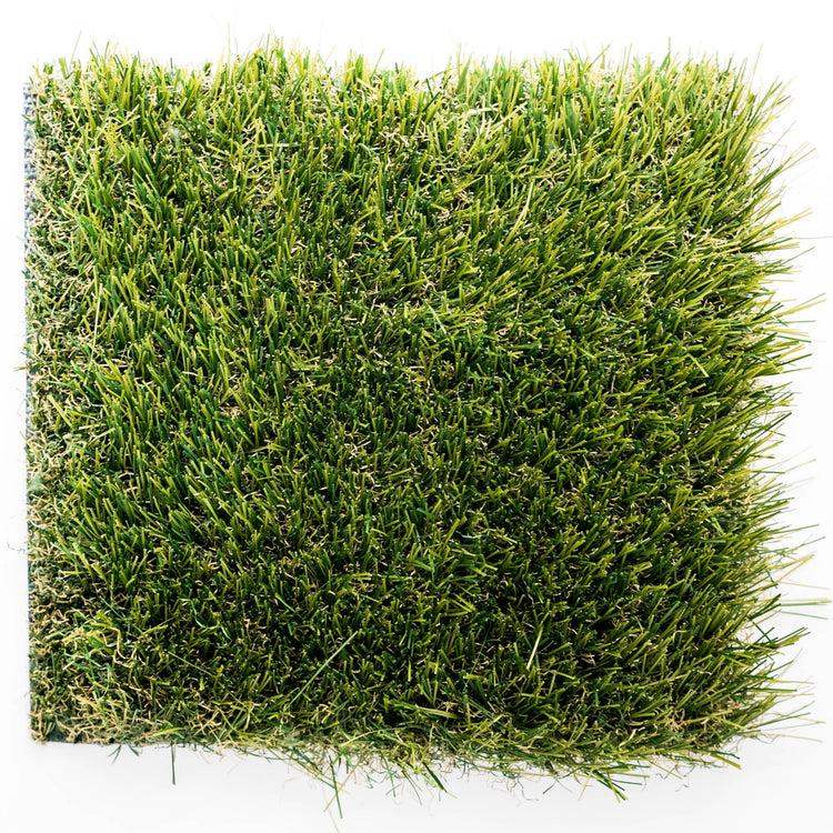 Free Grass Samples – Artificial Living