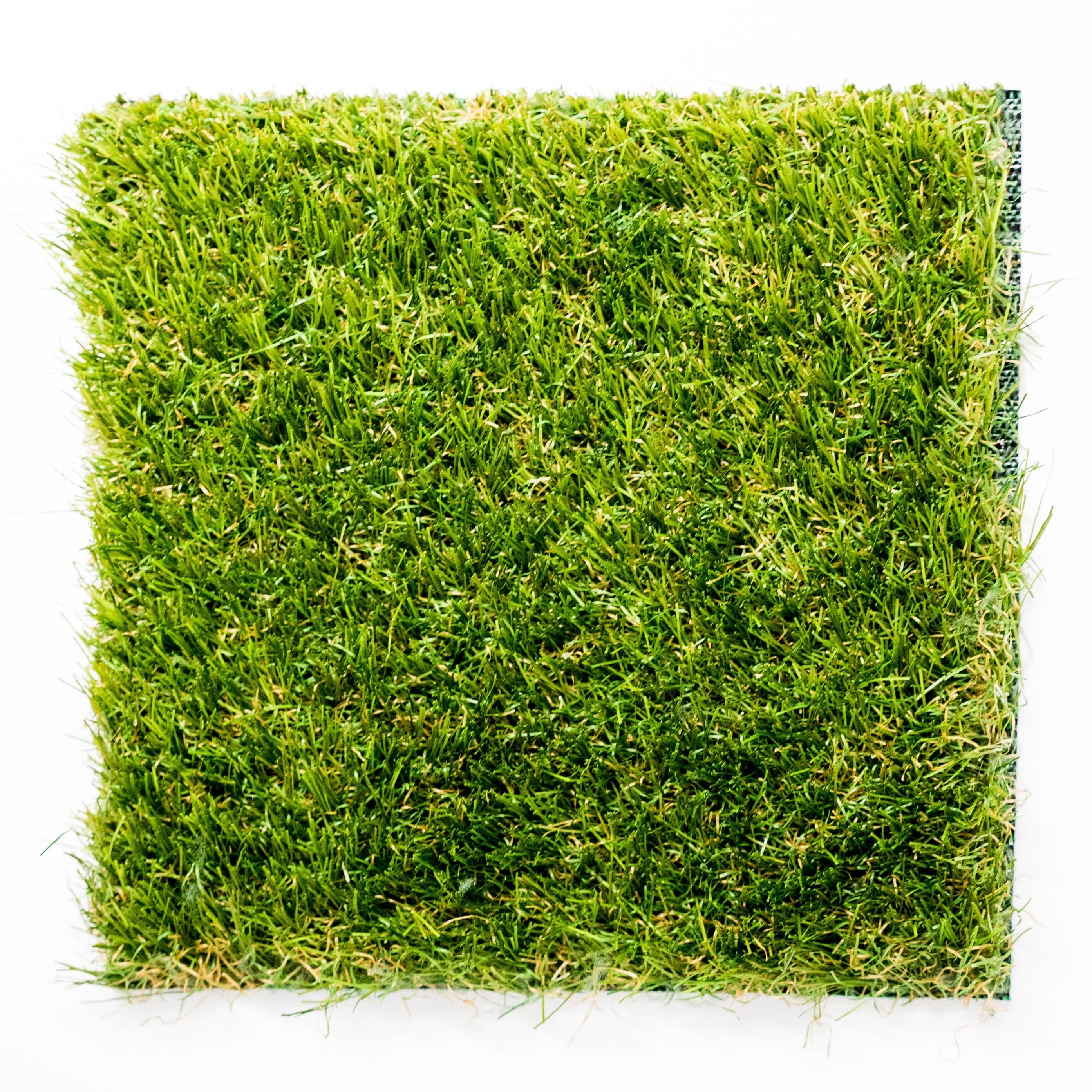 Free Grass Samples – Artificial Living